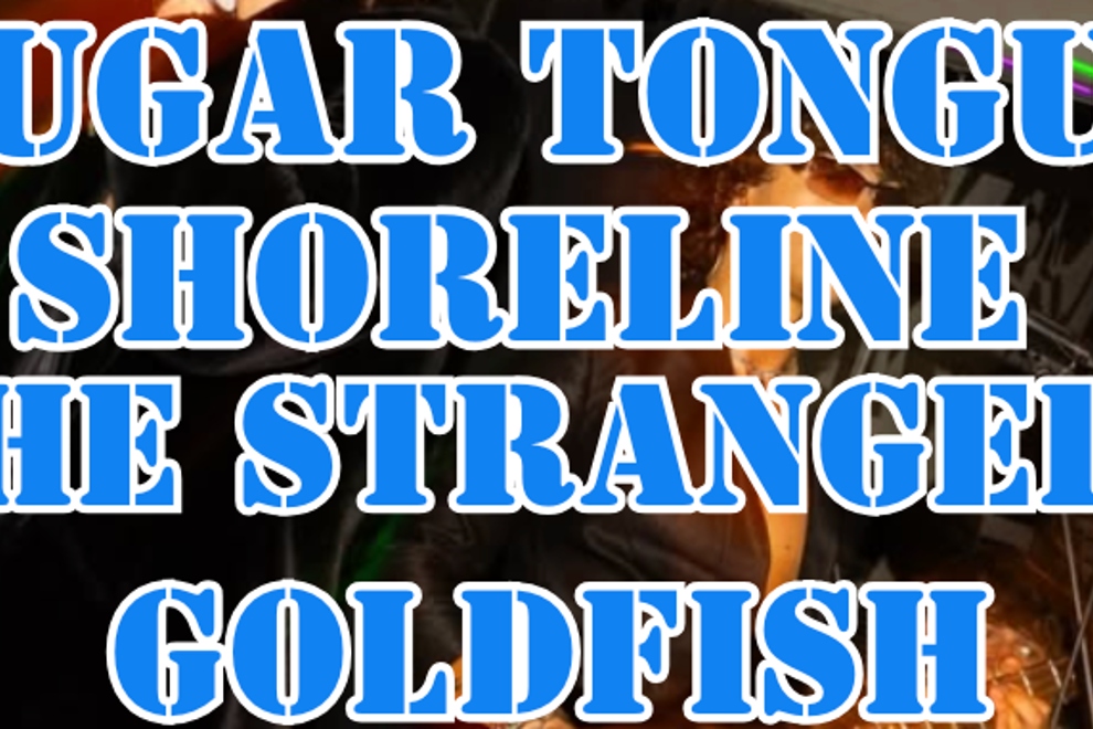 Gig: Sugar Tongue, Shoreline, The Strangers and Goldfish | The Music